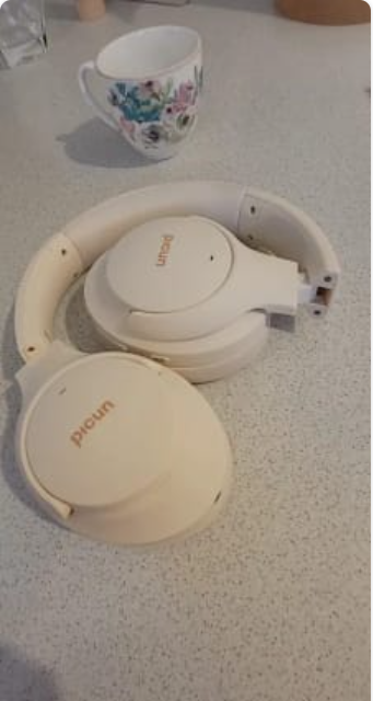 Picun MAX – TheElectronicsHub