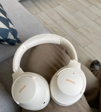 Picun MAX – TheElectronicsHub