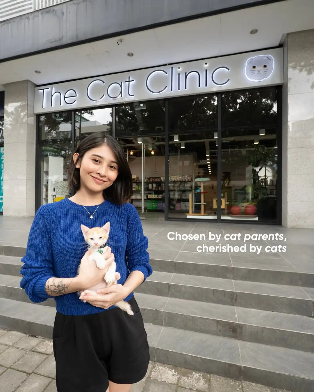 Products – The Cat Clinic