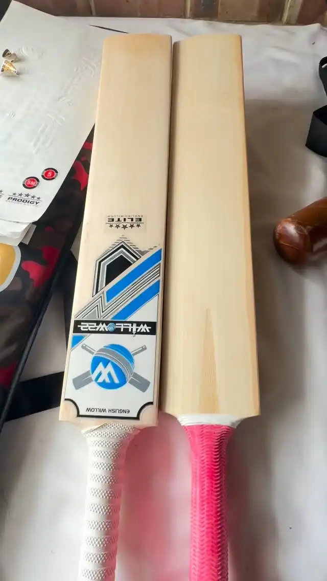 Willow22